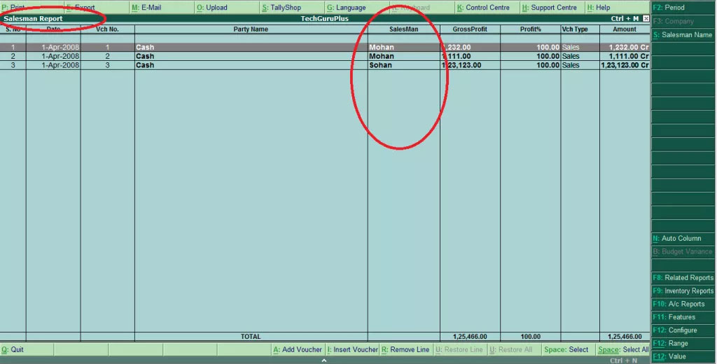Salesman Wise Sales Report – Tally Data Connector